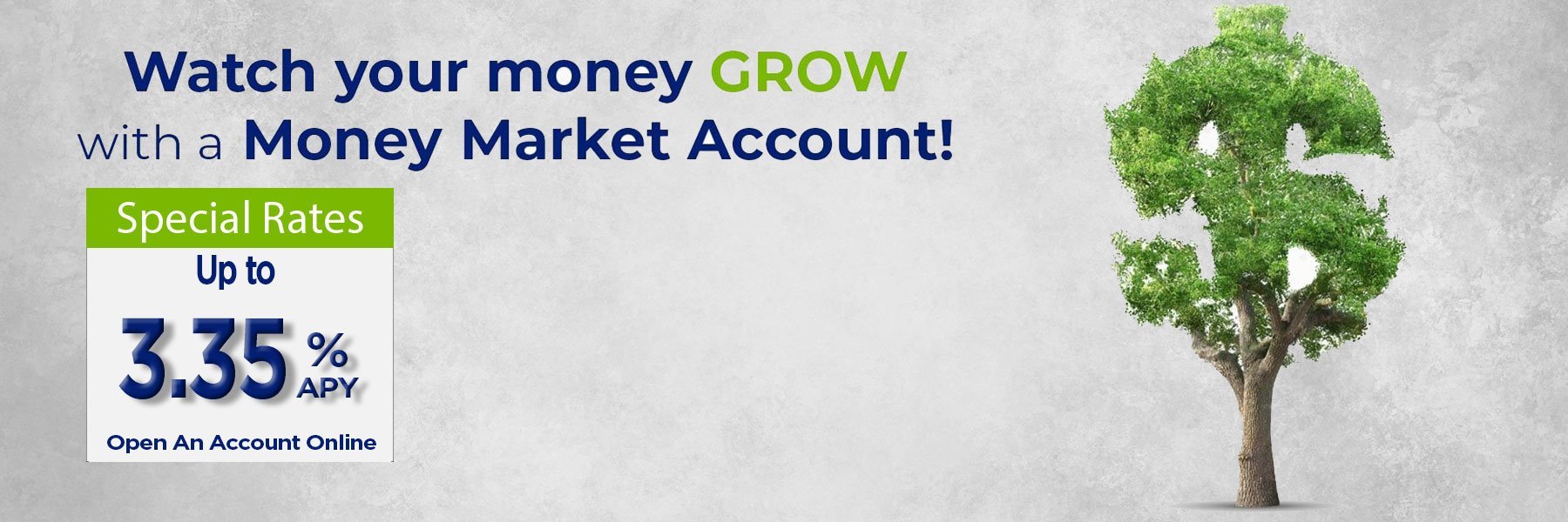 Old Point National Bank | Money Market Account